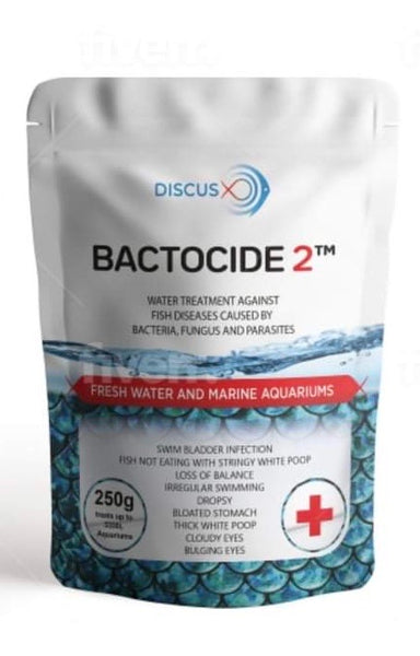 Bactocide 2 (Internal Issues) – Myrtle Beach Discus